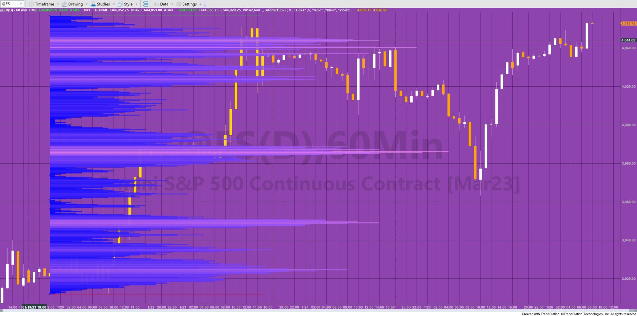 Tutorial 188 | Volume profile for user selected bars | TradeStation EasyLanguage Tutorials ...